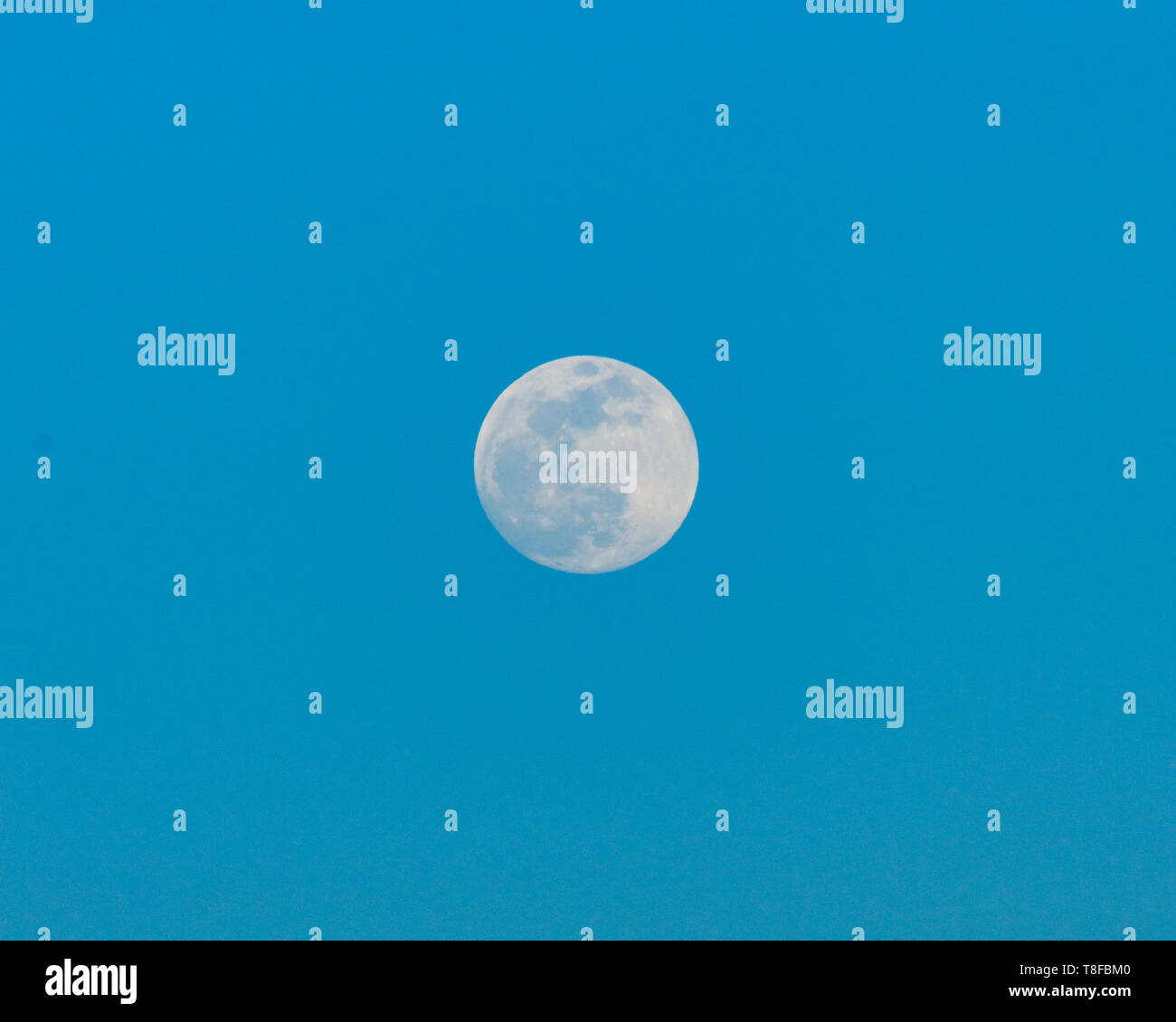 Big blue moon hi-res stock photography and images - Alamy
