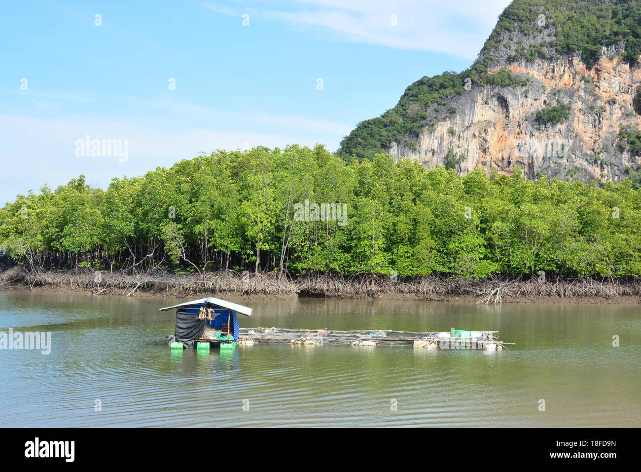 Fish farming or pisciculture involves raising fish commercially in ...