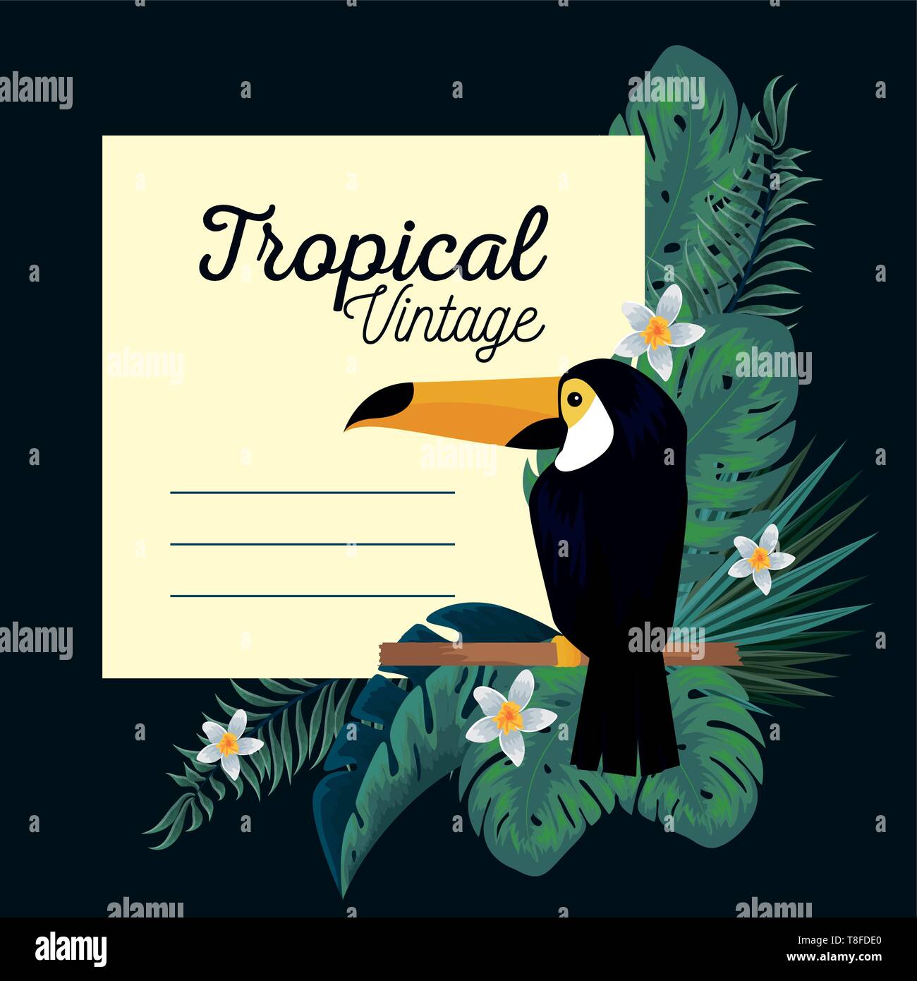 tropical card with toucan and leaves plants Stock Vector Image & Art ...