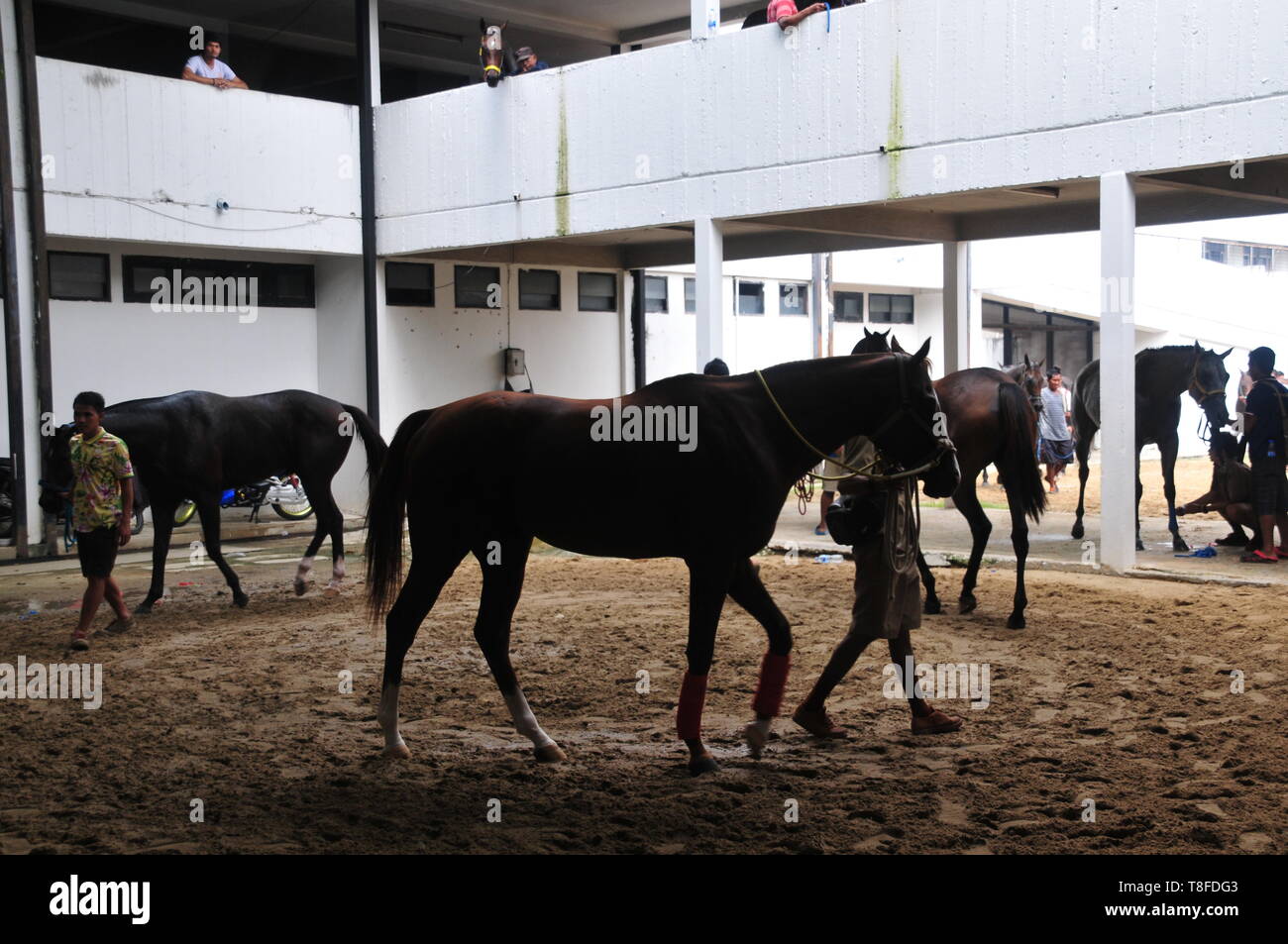 Bangkok royal turf club hi-res stock photography and images - Alamy