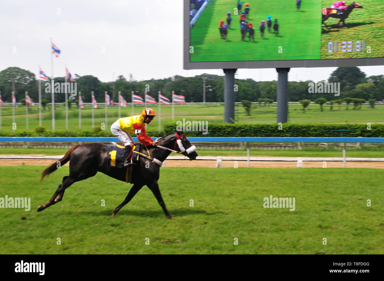 Bangkok royal turf club hi-res stock photography and images - Alamy