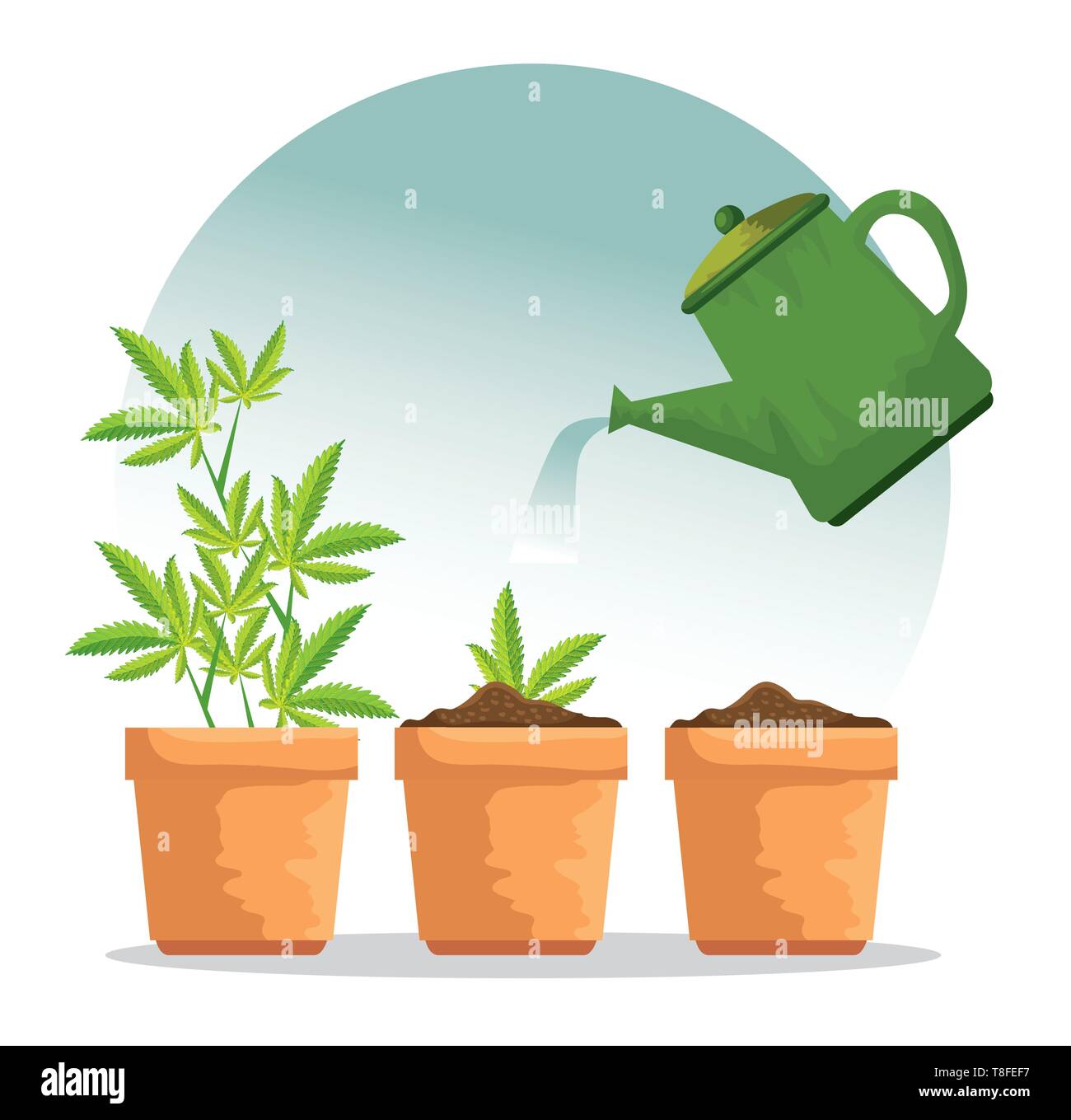nature cannabis plant in the plantpot and watering jar Stock Vector ...