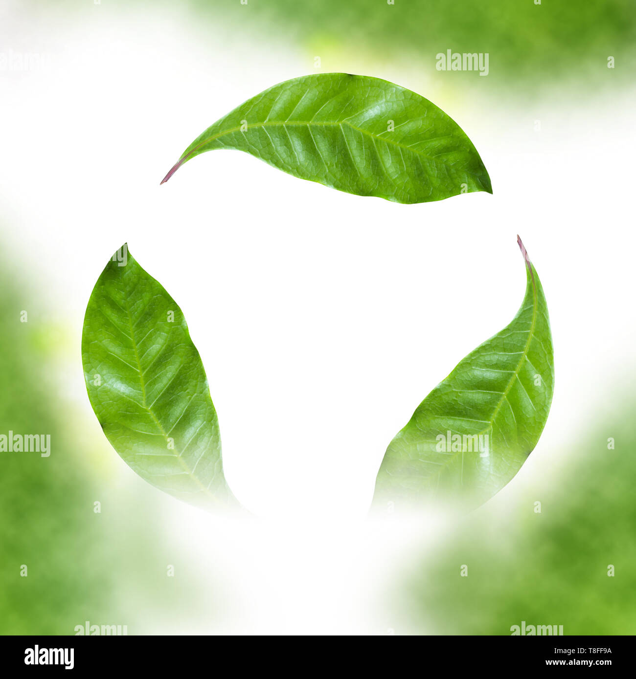 Digitally enhanced image of the recycle logo created with a photograph ...