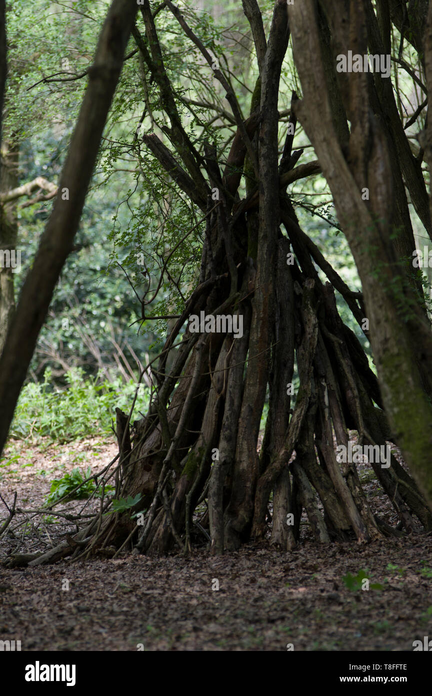 Dead tree branches shaped into a teepee lean-to type structure in Trent ...
