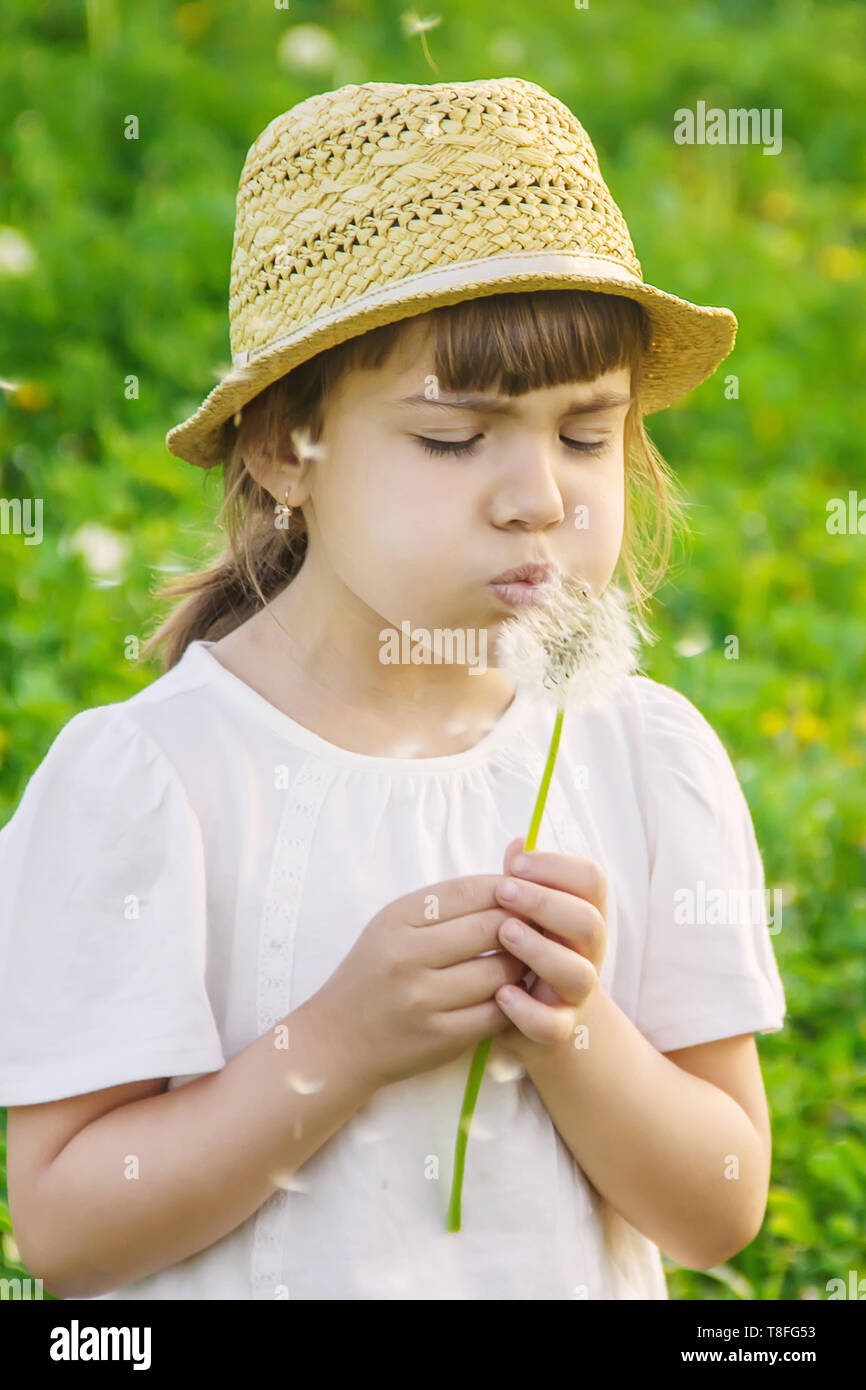 girl blowing dandelions in the air. selective focus. nature Stock Photo ...