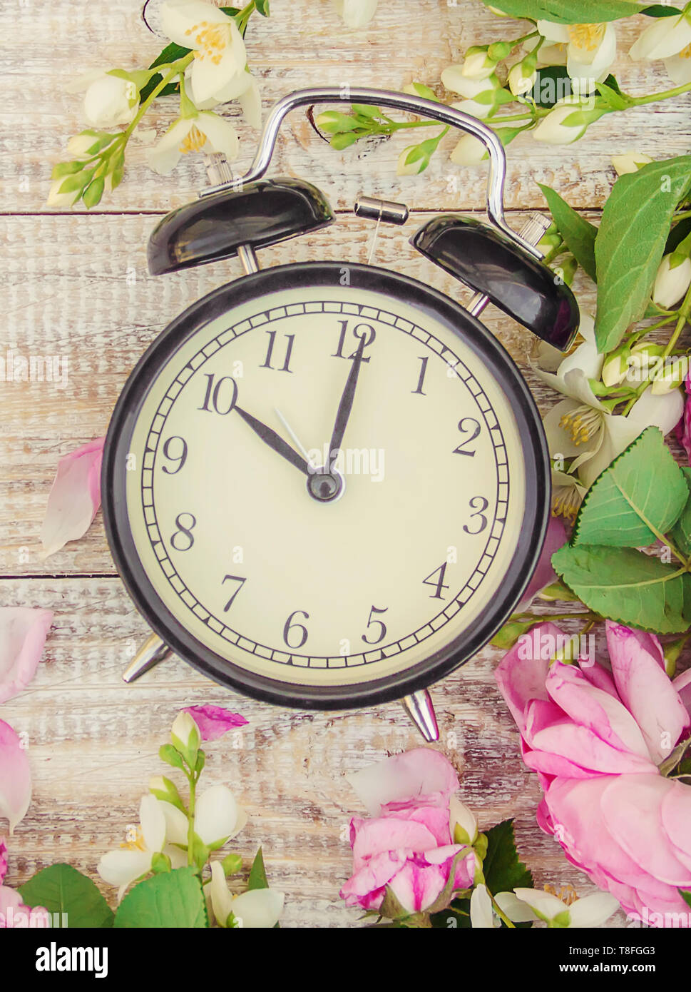Spring flowers and Alarm Clock. Change the time. nature Stock Photo - Alamy