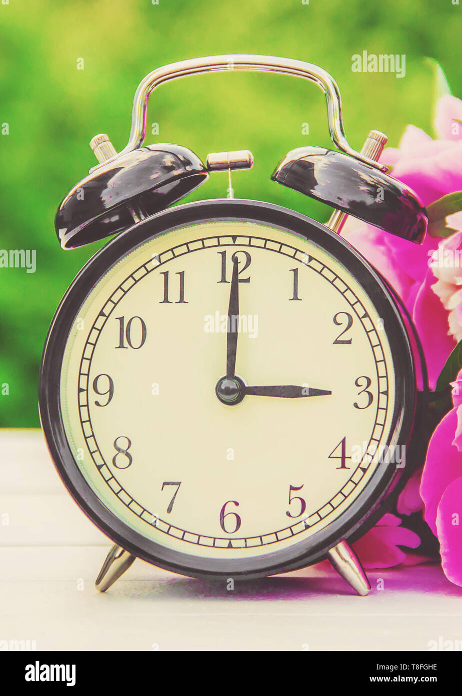 Spring flowers and Alarm Clock. Change the time. nature Stock Photo - Alamy