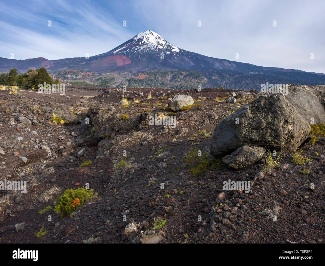 Chile, Araucania, Conguillio National Park, Llamia volcano Stock Photo ...