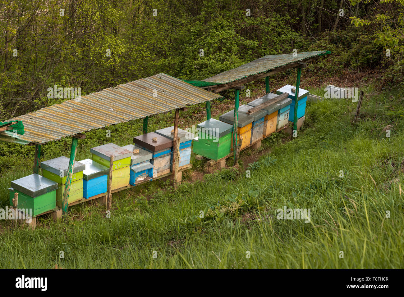 Honey bee hives italy hi-res stock photography and images - Alamy