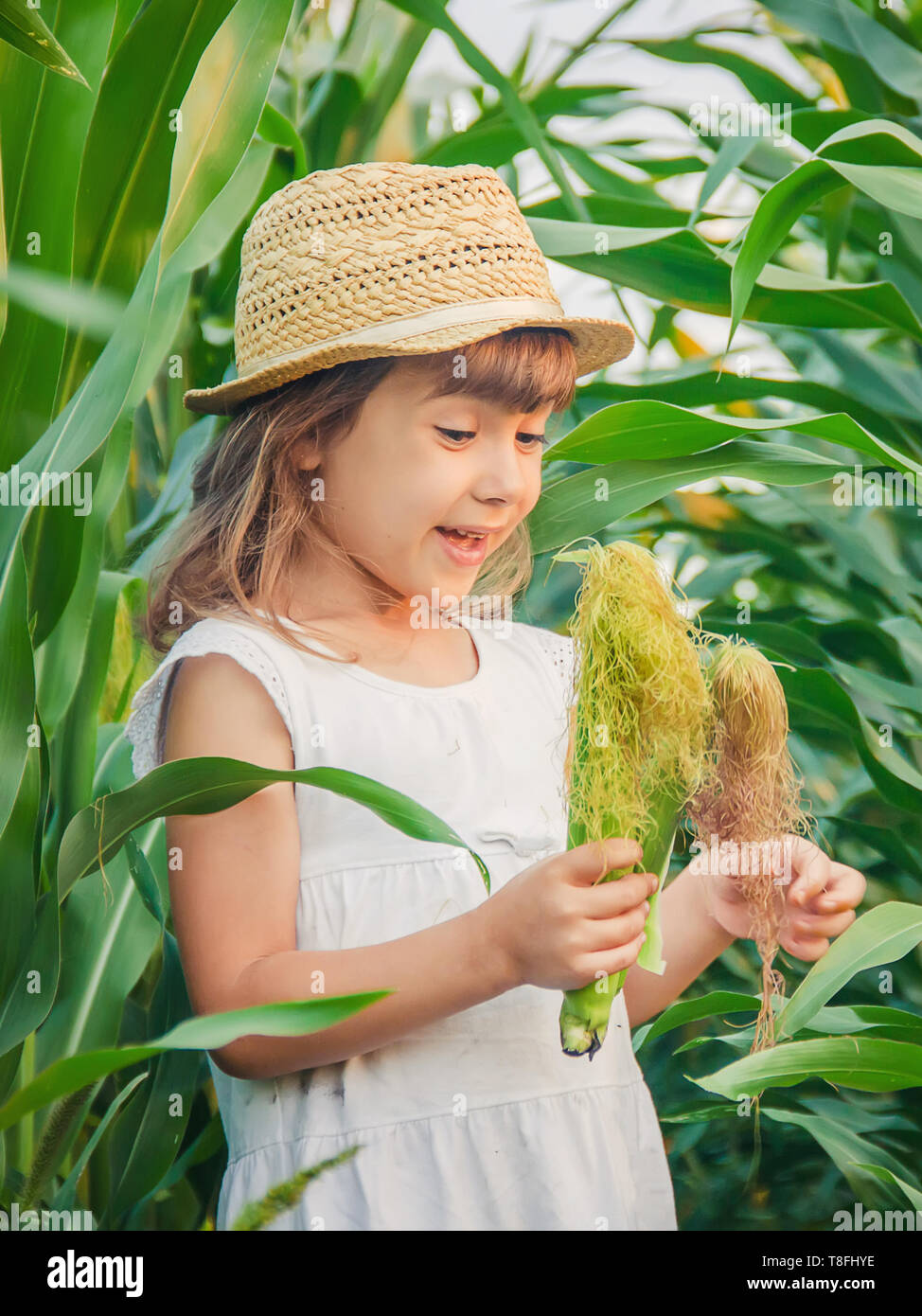 Corn farmer kids hi-res stock photography and images - Alamy