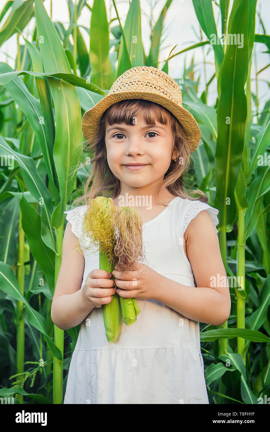 Corn farmer kids hi-res stock photography and images - Alamy