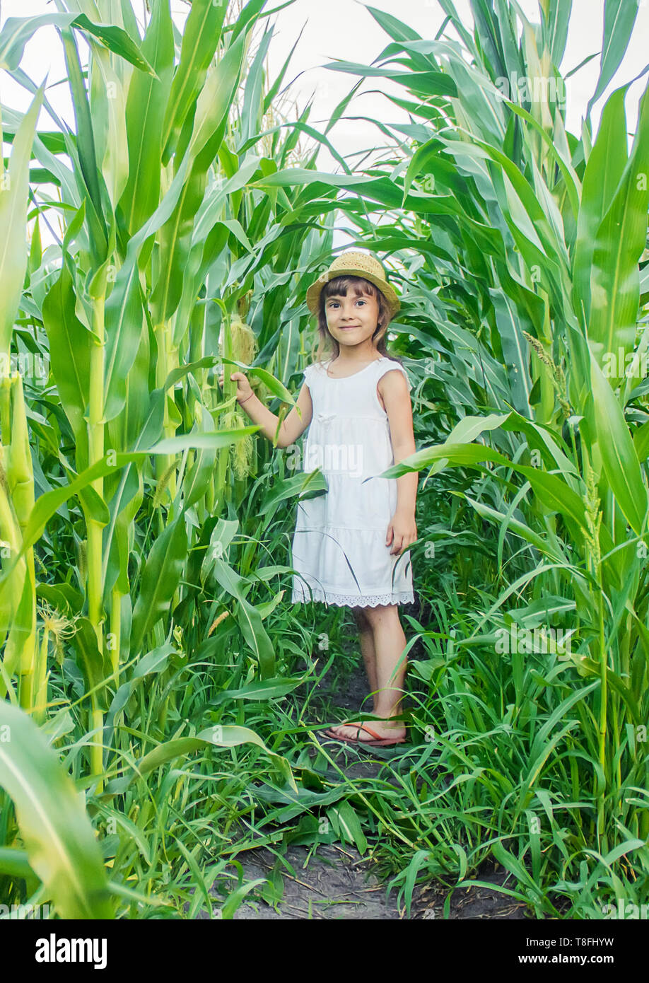 Corn farmer kids hi-res stock photography and images - Alamy