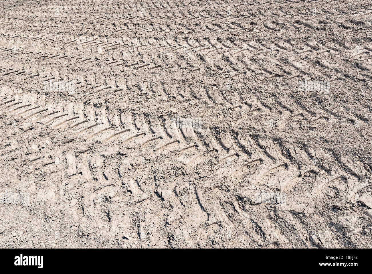 Tire tracks on the dry field at day time Stock Photo - Alamy