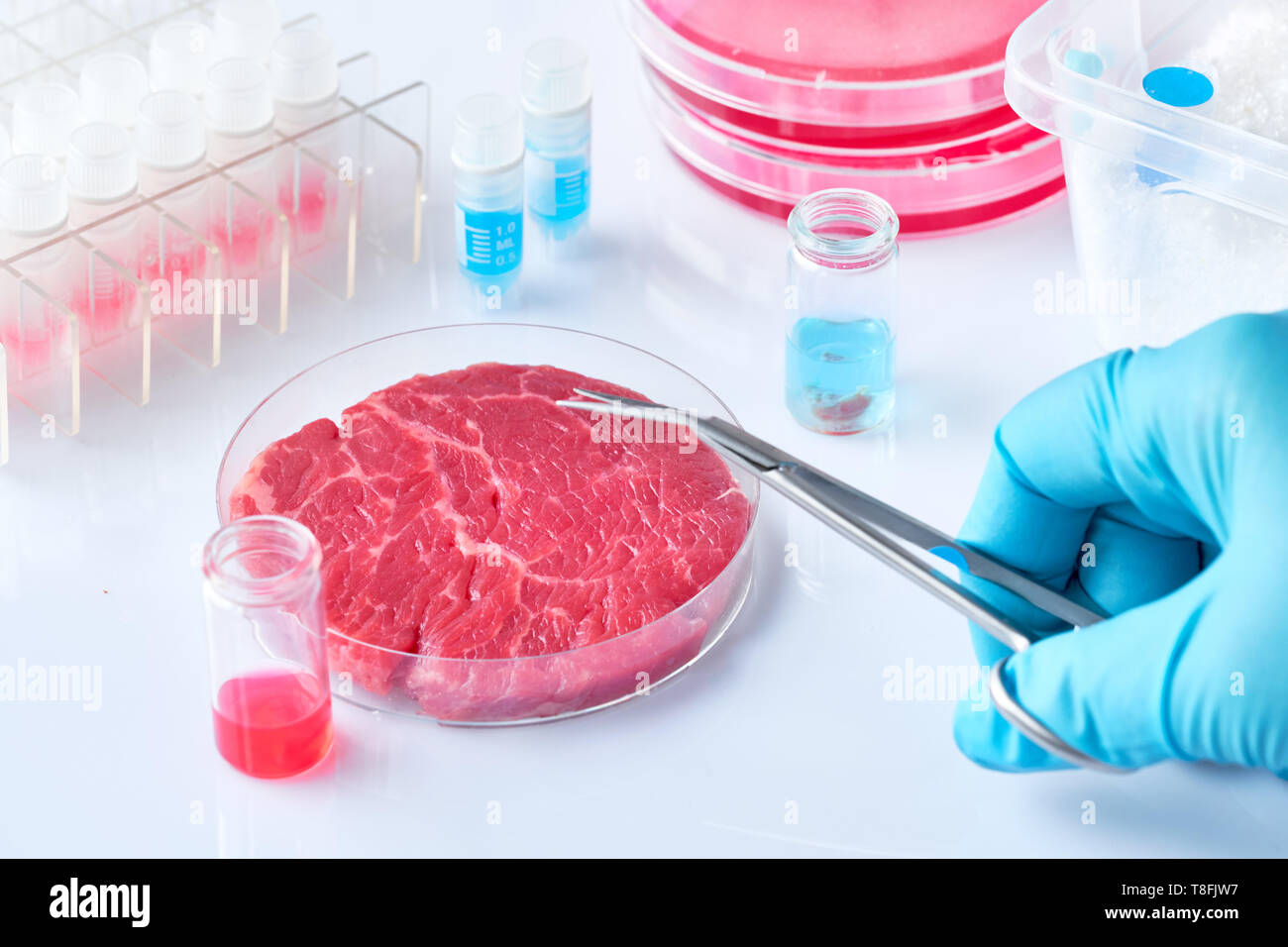 Lab grown meat hi-res stock photography and images - Alamy