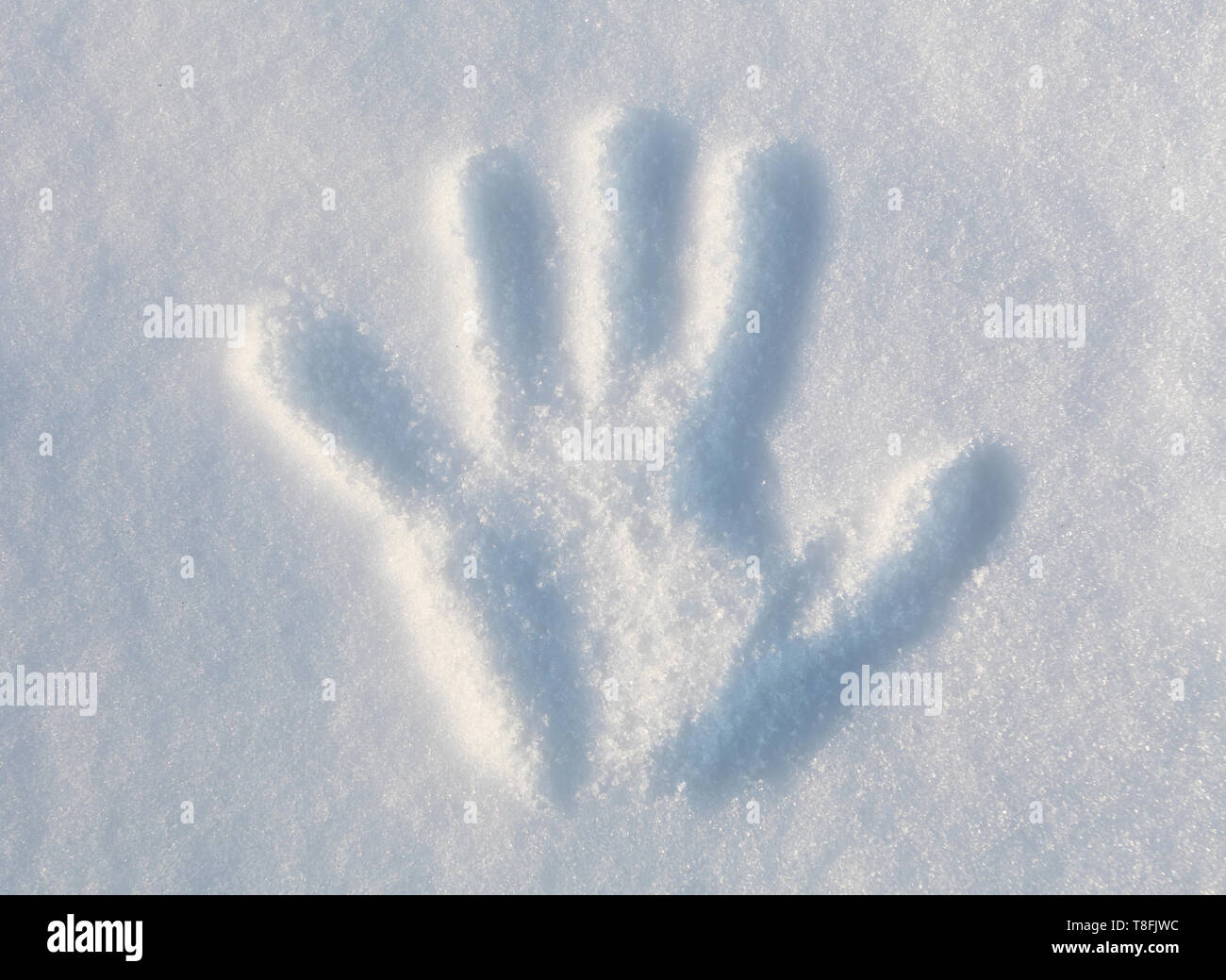 White handprint hi-res stock photography and images - Alamy