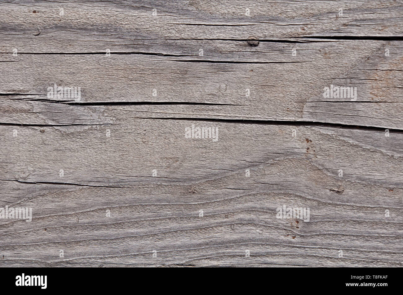 Texture photo of grey, worn, shabby, old and cracked wood which was ...