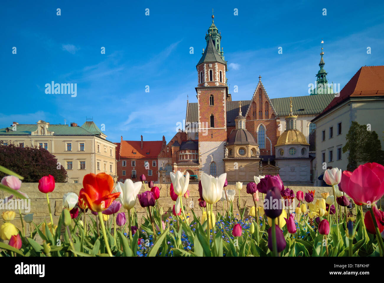 Krakow spring hi-res stock photography and images - Alamy