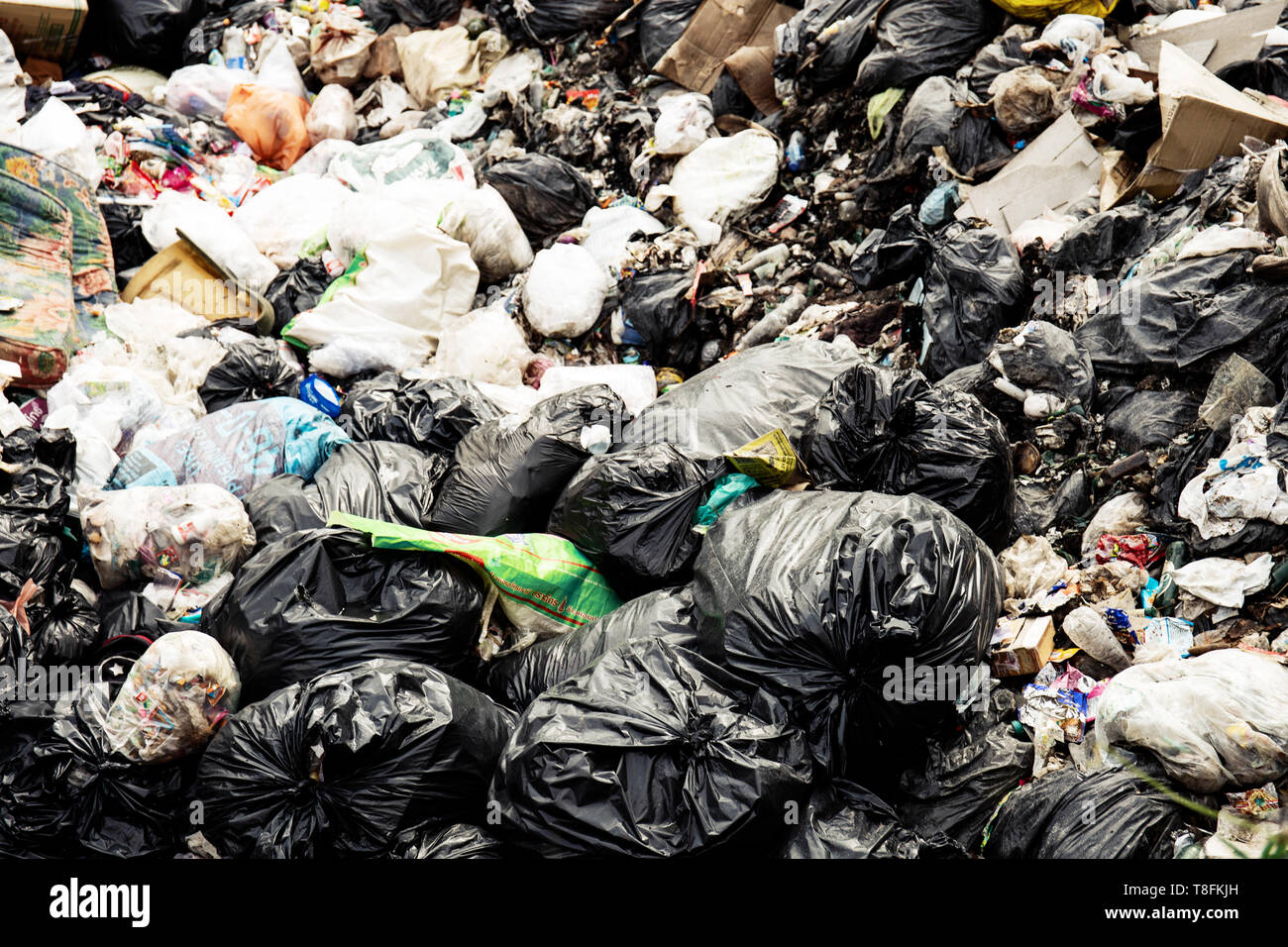 Stench trash hi-res stock photography and images - Alamy