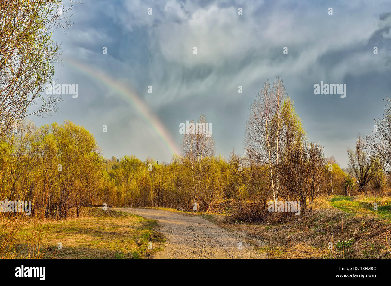 Amazing early spring landscape with rainbow over country road. Bright ...
