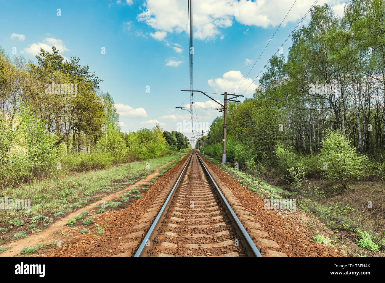 Electric railway line at summer day time Stock Photo - Alamy