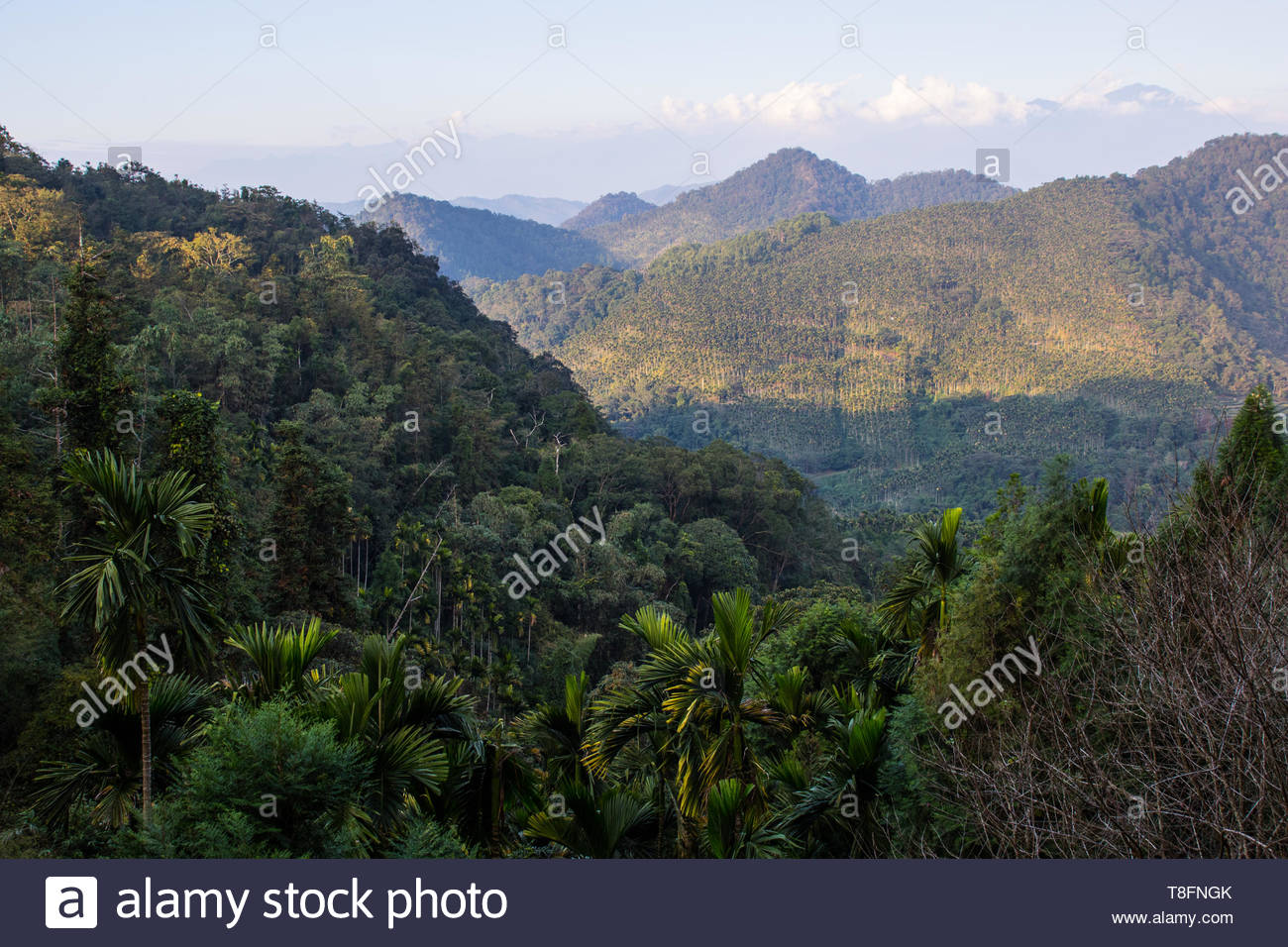 Yuchi High Resolution Stock Photography and Images - Alamy