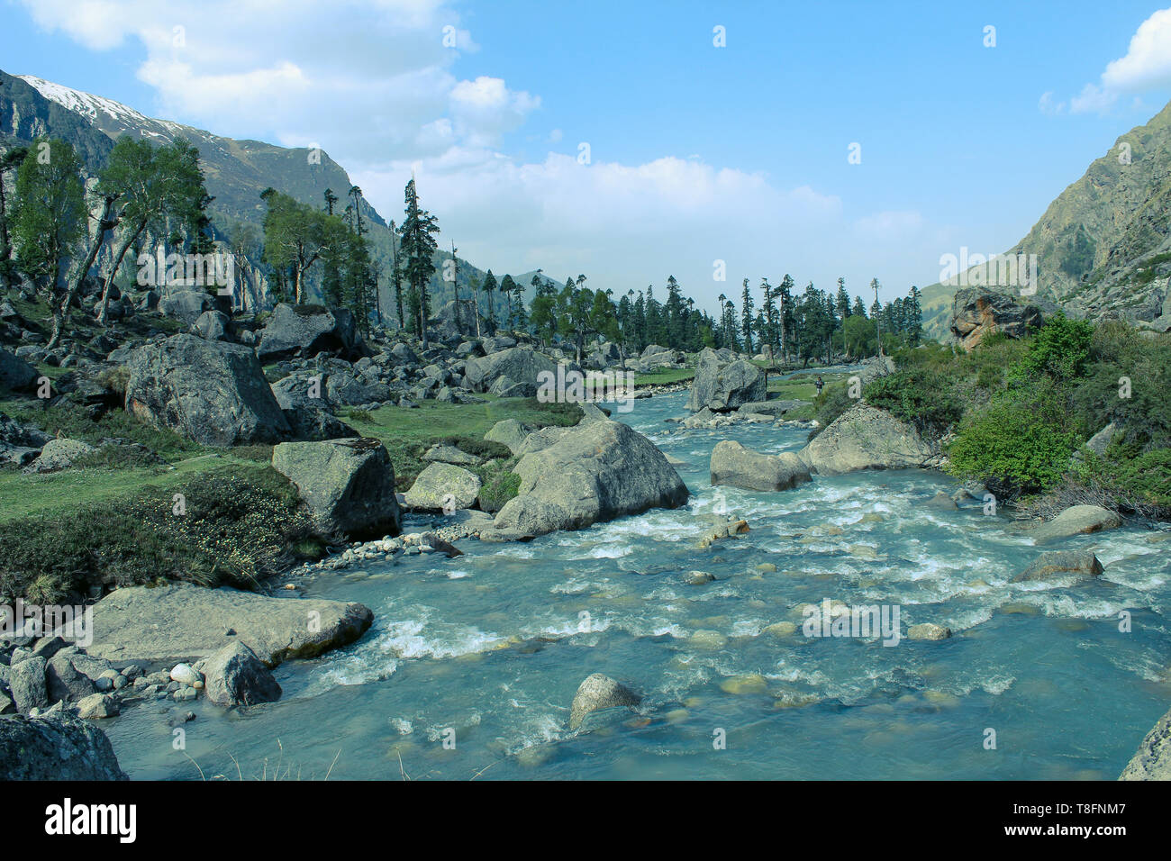 Doon valley, india hi-res stock photography and images - Alamy