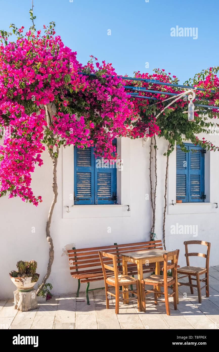 White house facade with traditional blue windows and flowers on Andros ...