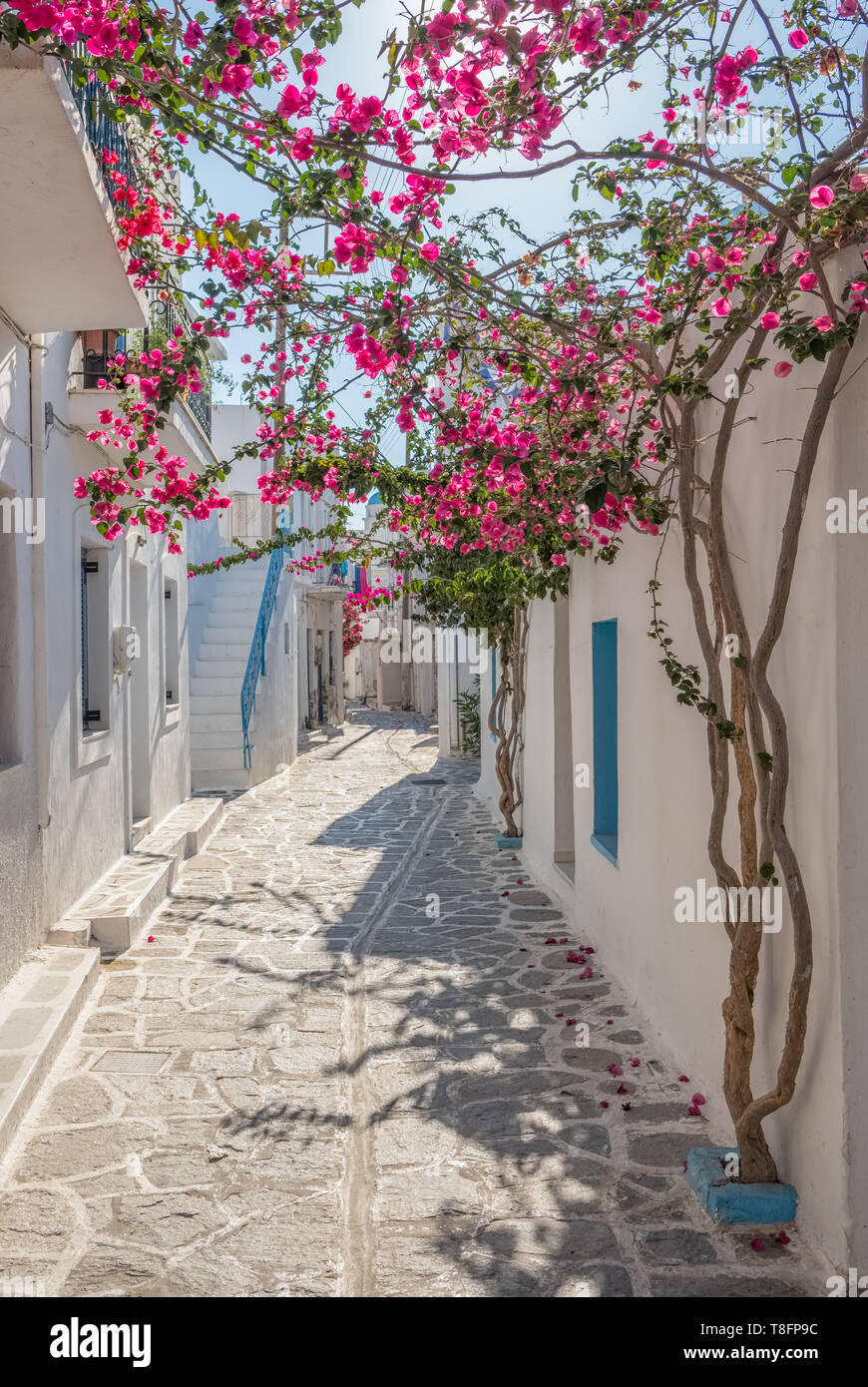 View of a typical narrow street in old town of Naoussa, Paros island ...