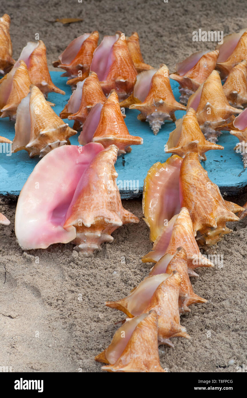 Jamaican beach hi-res stock photography and images - Alamy