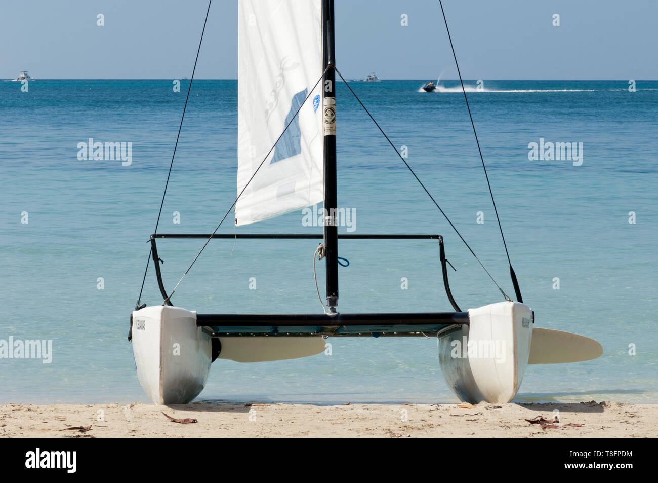 Small Catamaran Sailboat