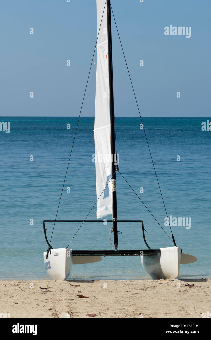 Small Catamaran Sailboat
