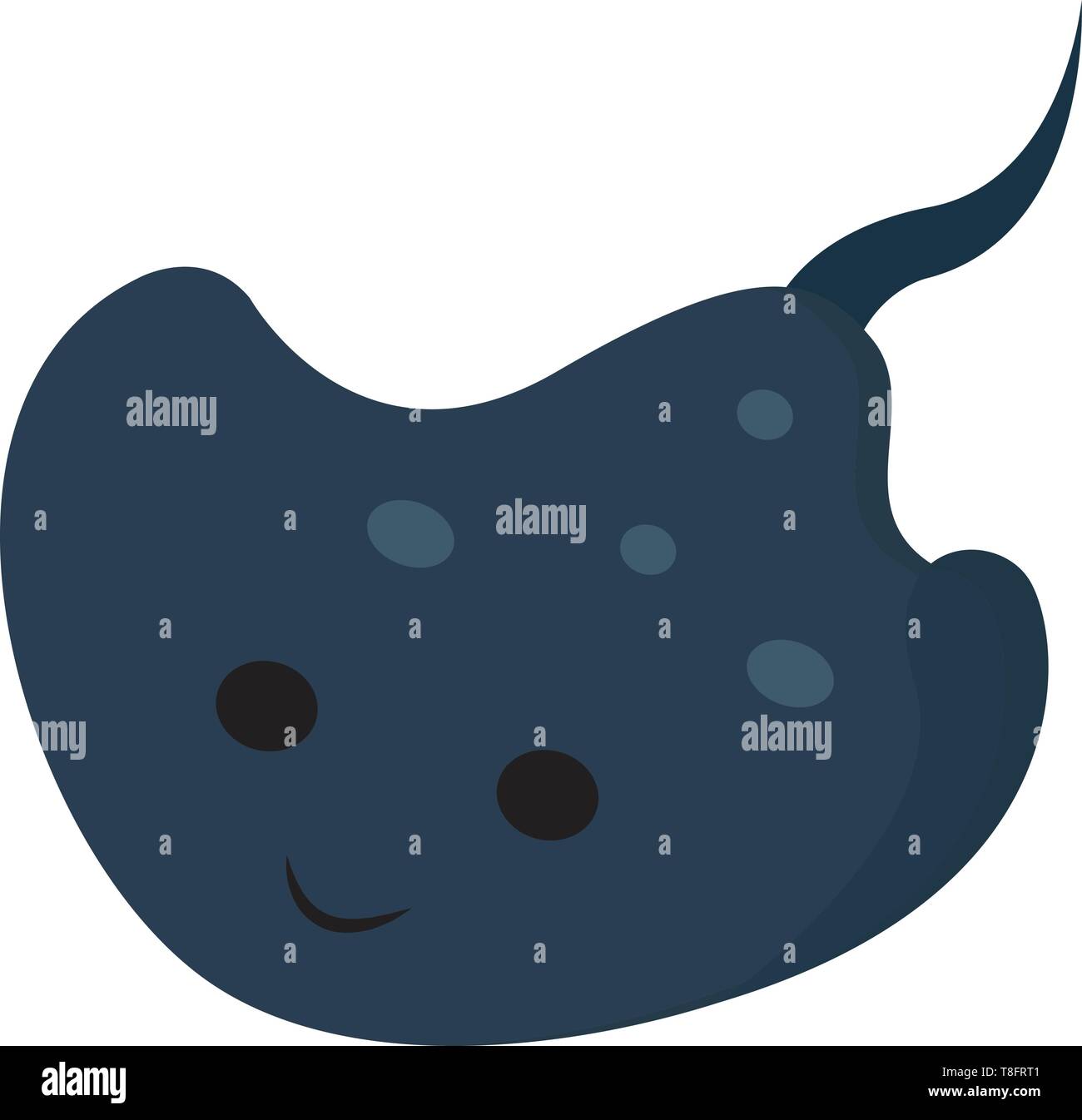 Stingray face hi-res stock photography and images - Alamy