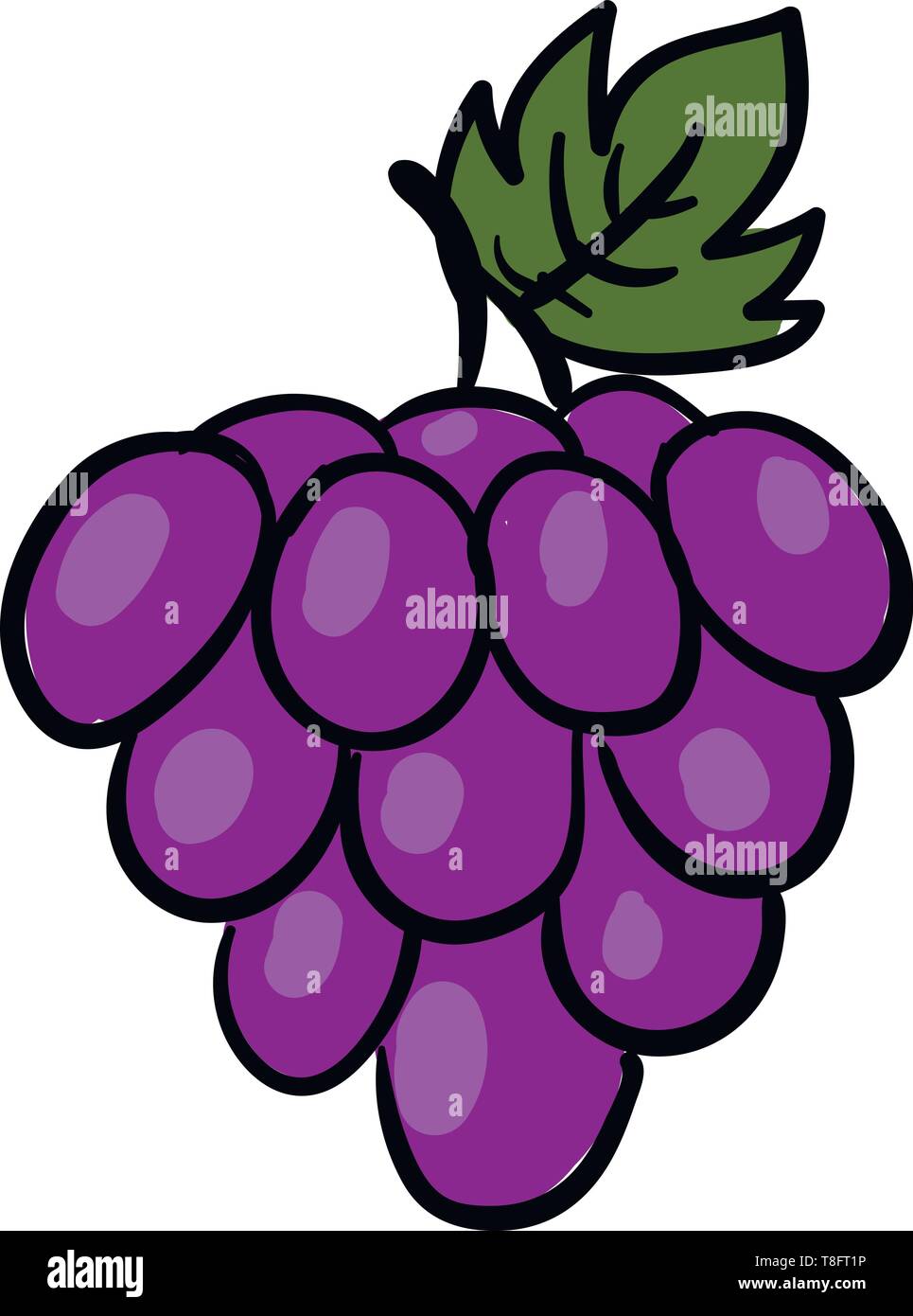 A bunch of violet grapes with a single palm-shaped green leaf of ...