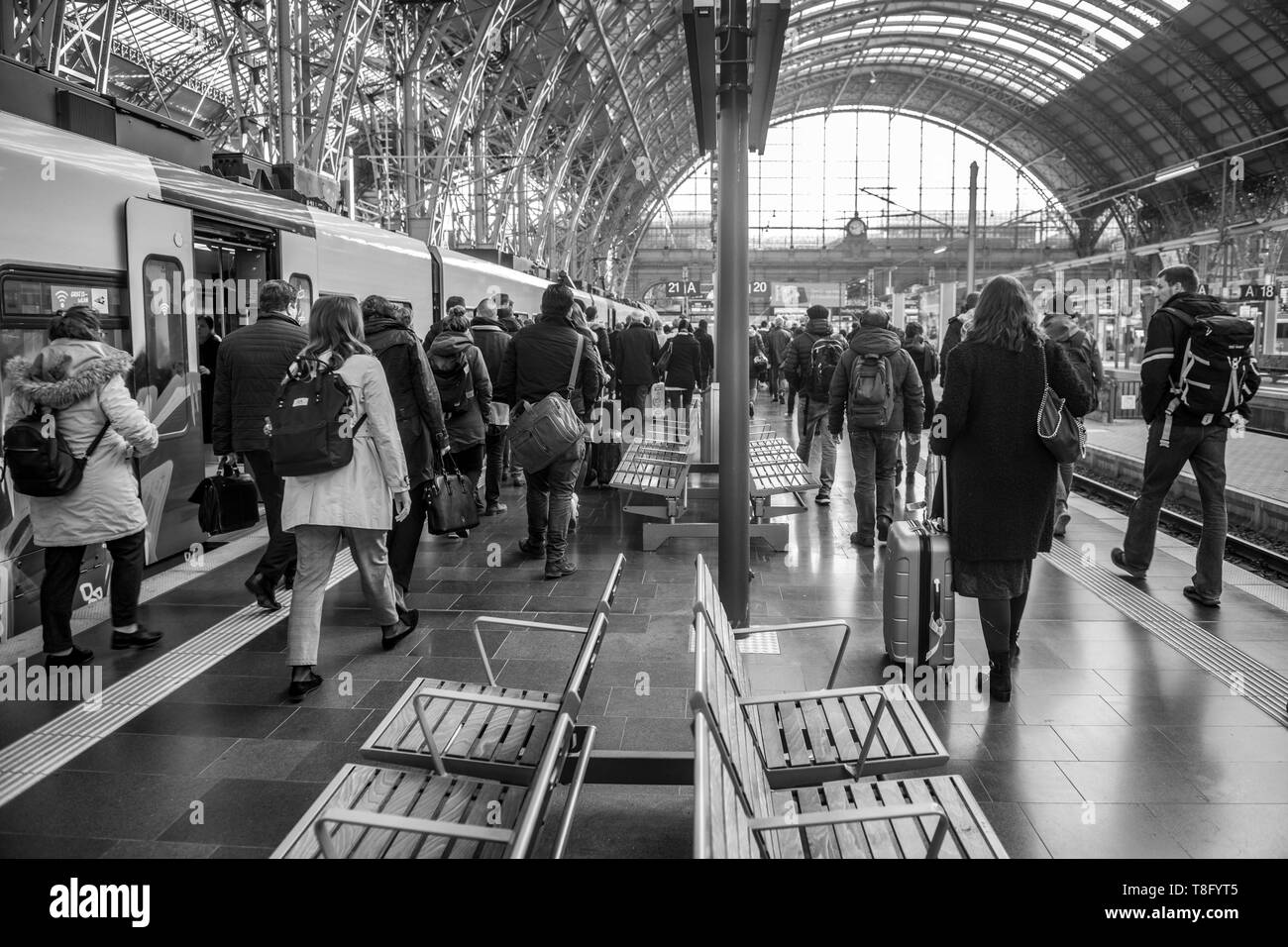German luggage Black and White Stock Photos & Images - Alamy