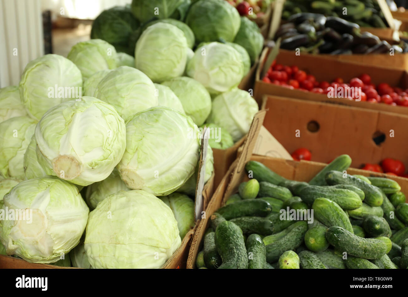 White cabbage in boxes hi-res stock photography and images - Alamy