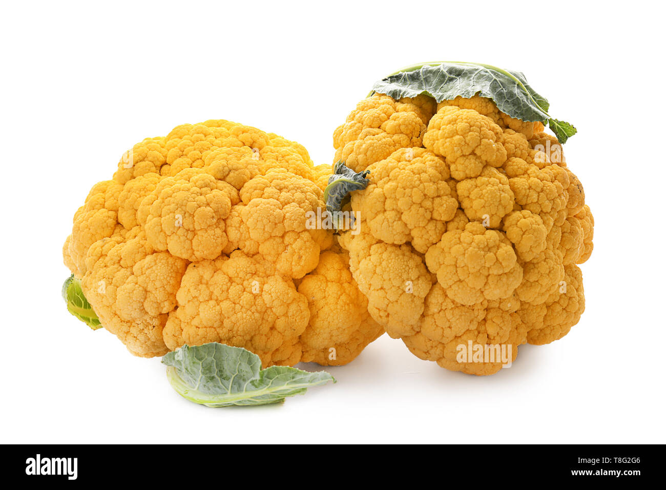 Yellow cauliflower cabbage on white background Stock Photo - Alamy