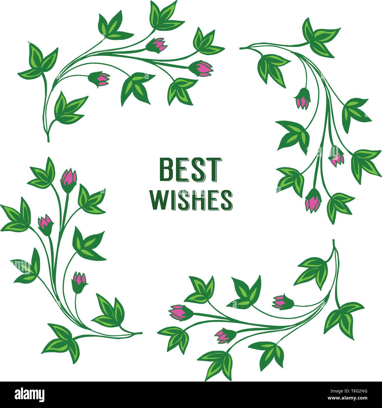 Vector illustration decor card best wishes with texture of green leafy ...