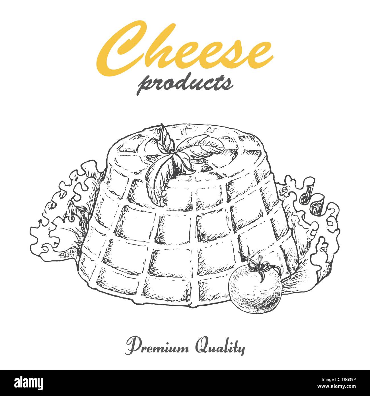 Vector background with cheese. Vector illustration for your design ...