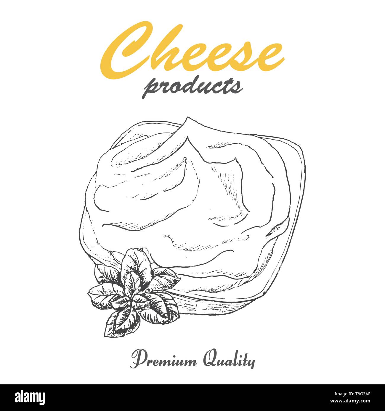 Vector background with cheese. Vector illustration for your design ...