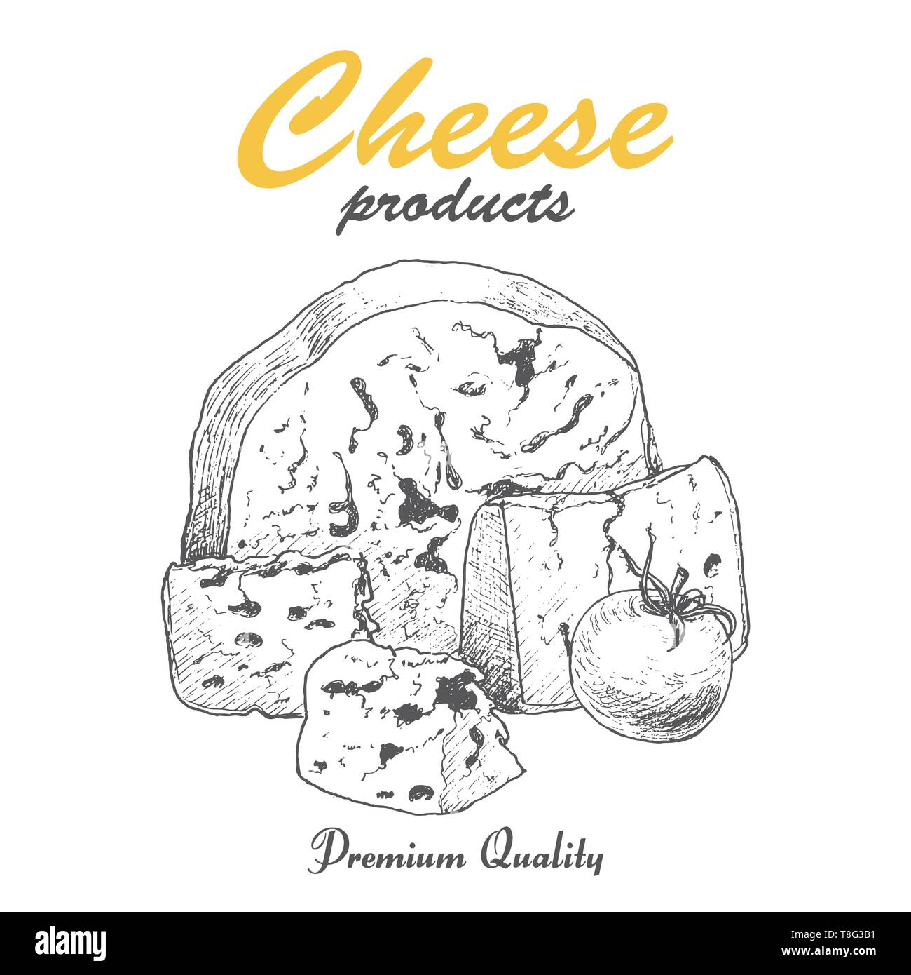 Vector background with cheese. Vector illustration for your design ...
