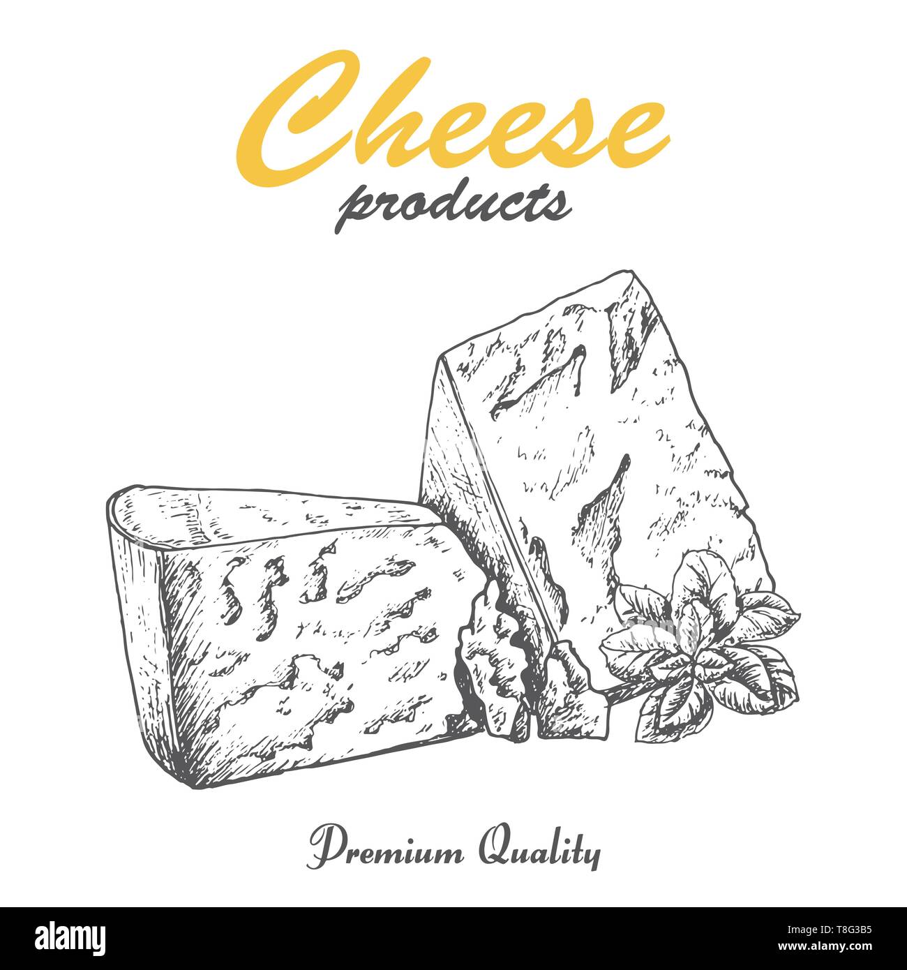 Vector background with cheese. Vector illustration for your design ...