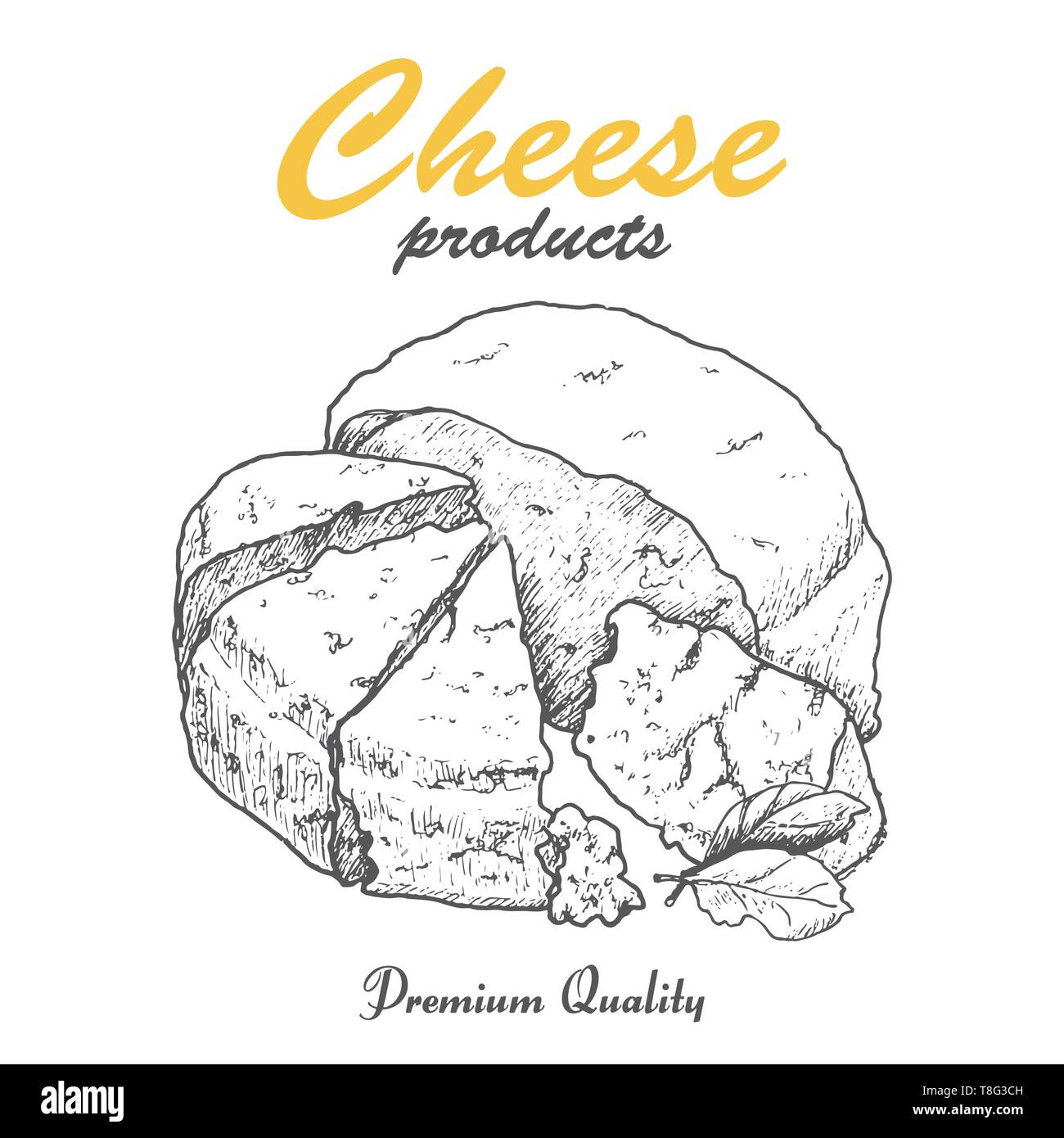 Vector background with cheese. Vector illustration for your design ...