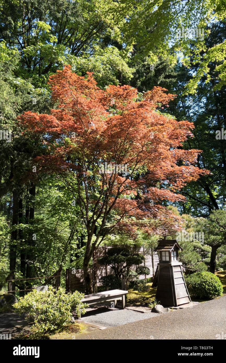 Portland japanese garden and spring hi-res stock photography and images ...