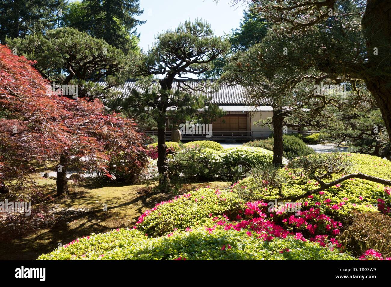 Portland japanese garden and spring hi-res stock photography and images ...