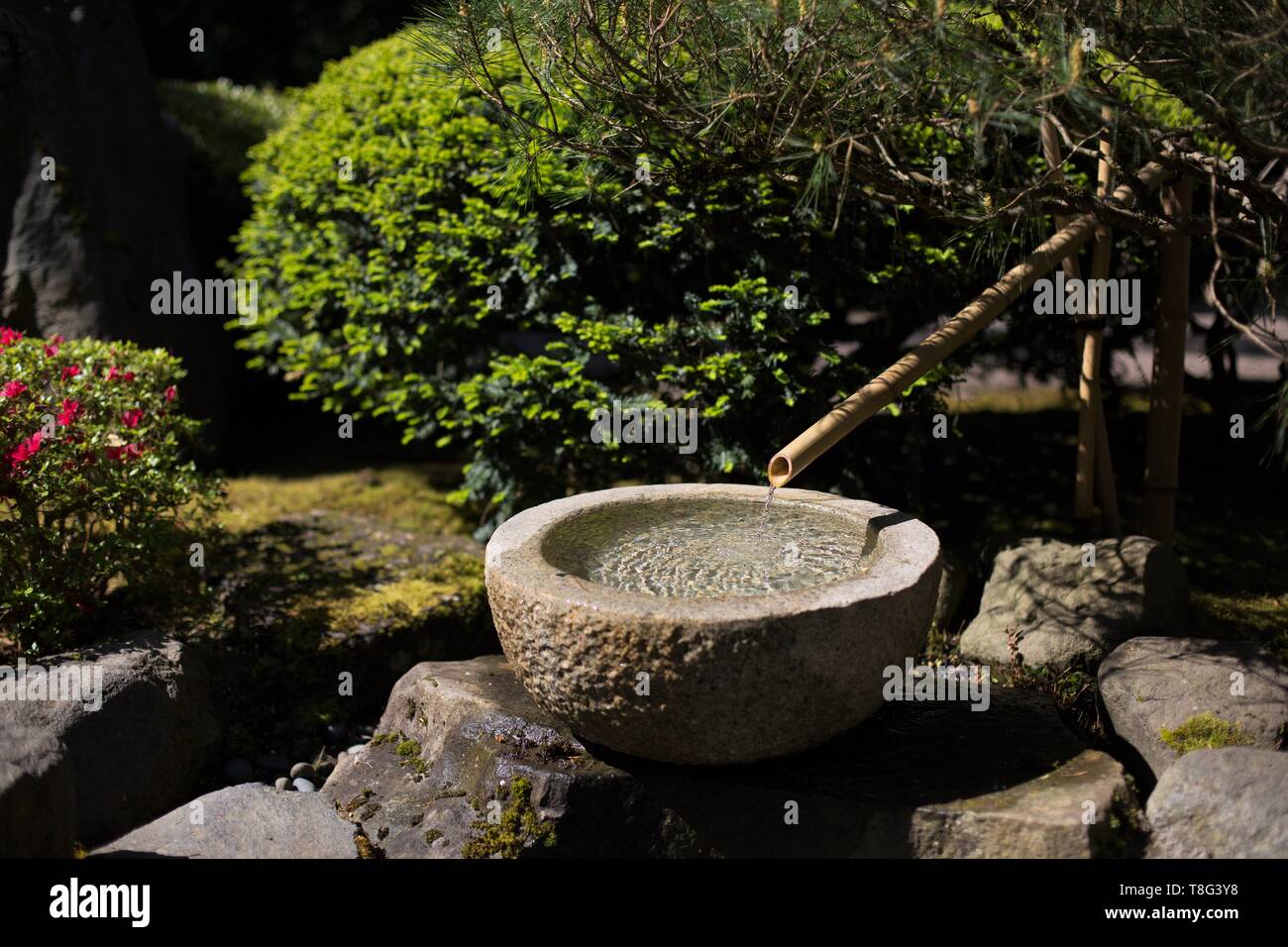 A water feature at Portland Japanese Garden in Portland, Oregon, USA ...