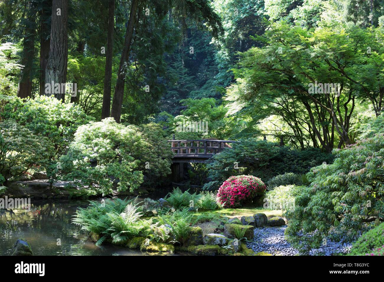 A footbridge over a stream, at Portland Japanese Garden in Portland ...