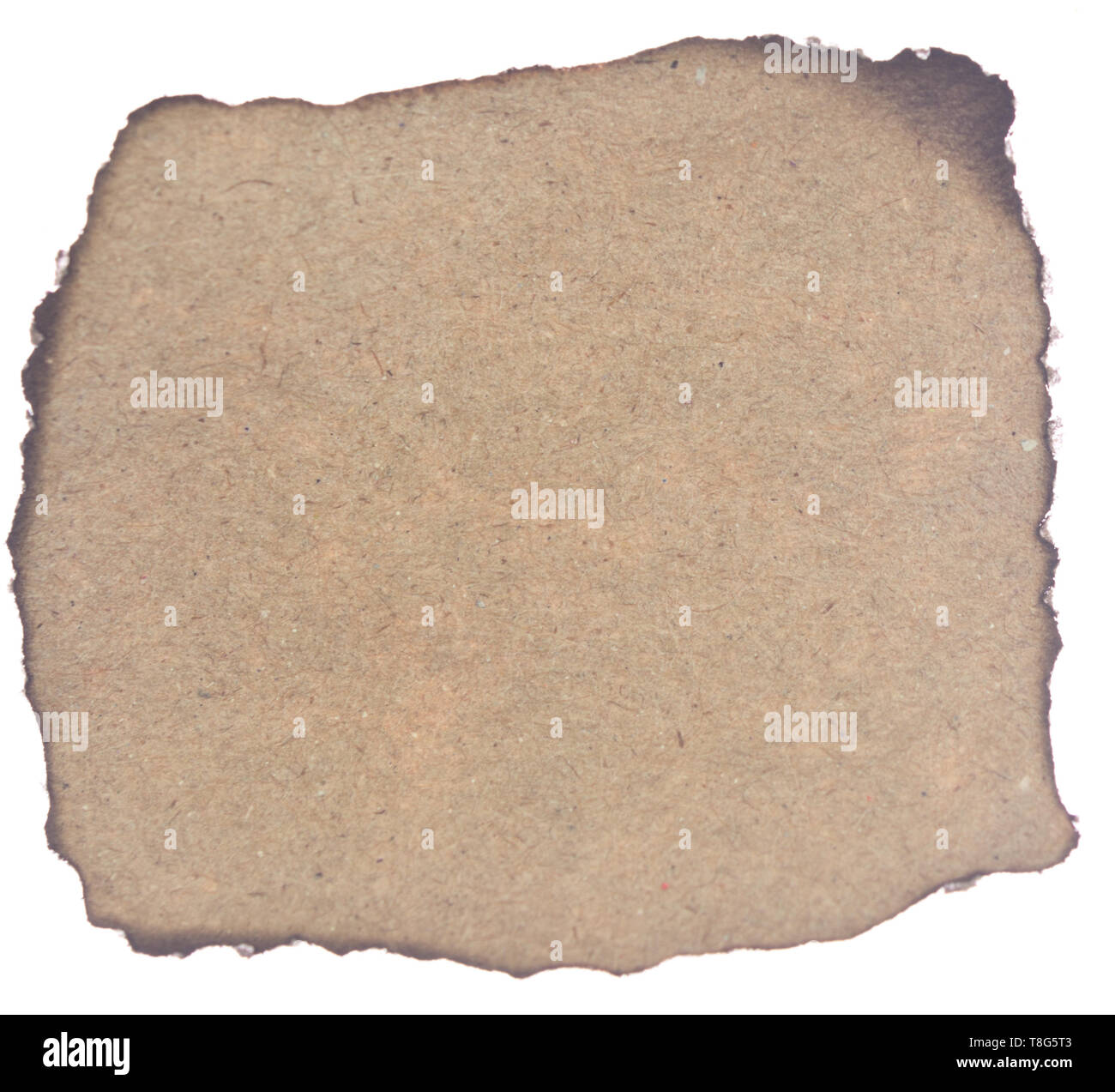 Old paper with burned edges on white background Stock Photo - Alamy