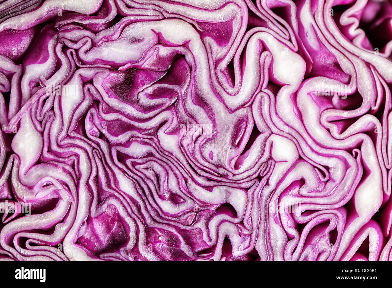 Texture of cut red cabbage, closeup Stock Photo - Alamy