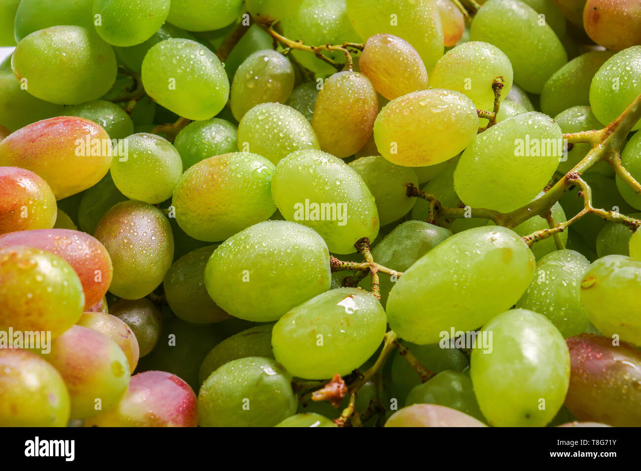 Fresh ripe grapes as background Stock Photo - Alamy