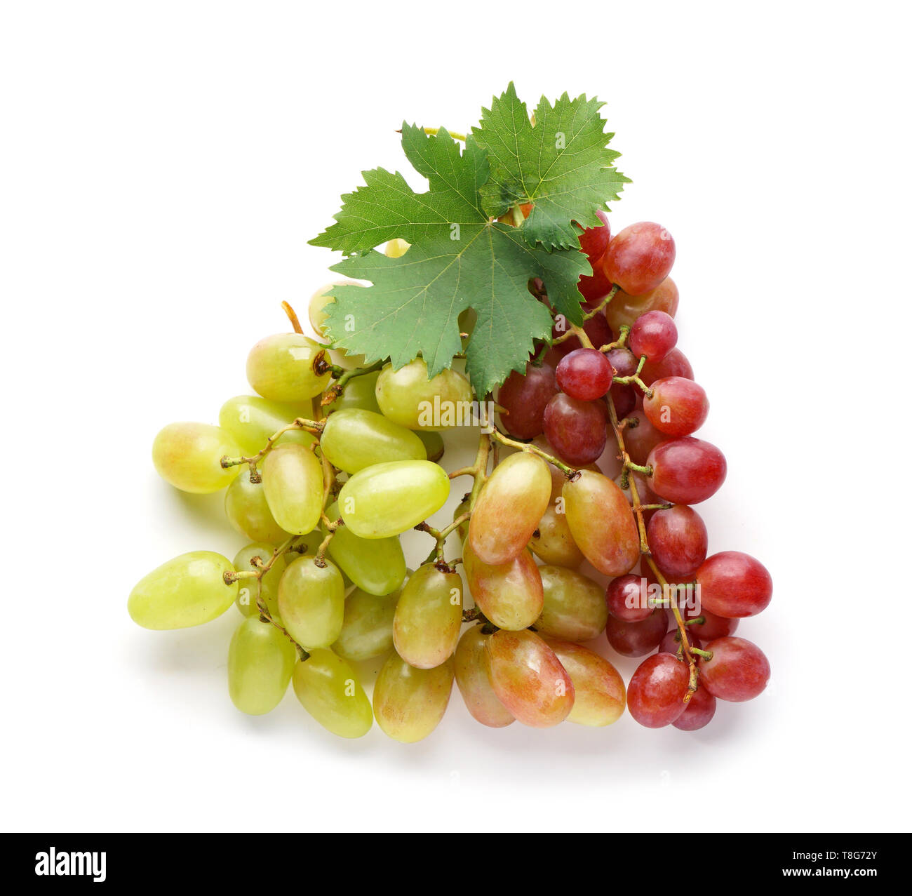 Grapes ripe fruit bunches Cut Out Stock Images & Pictures - Alamy